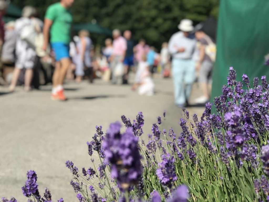 Rode Hall Farmers Market, Organiser at Pedddle
