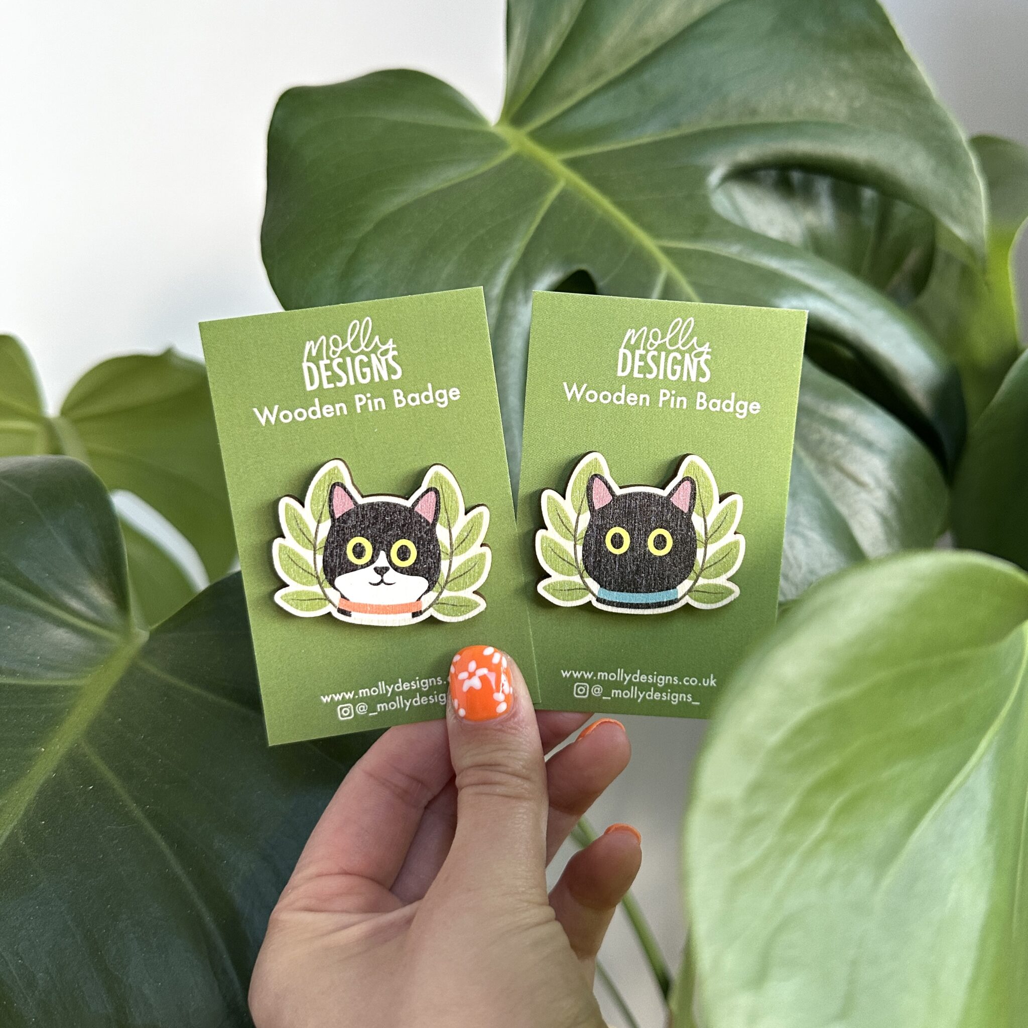 Molly Designs | Stallholder - Pedddle