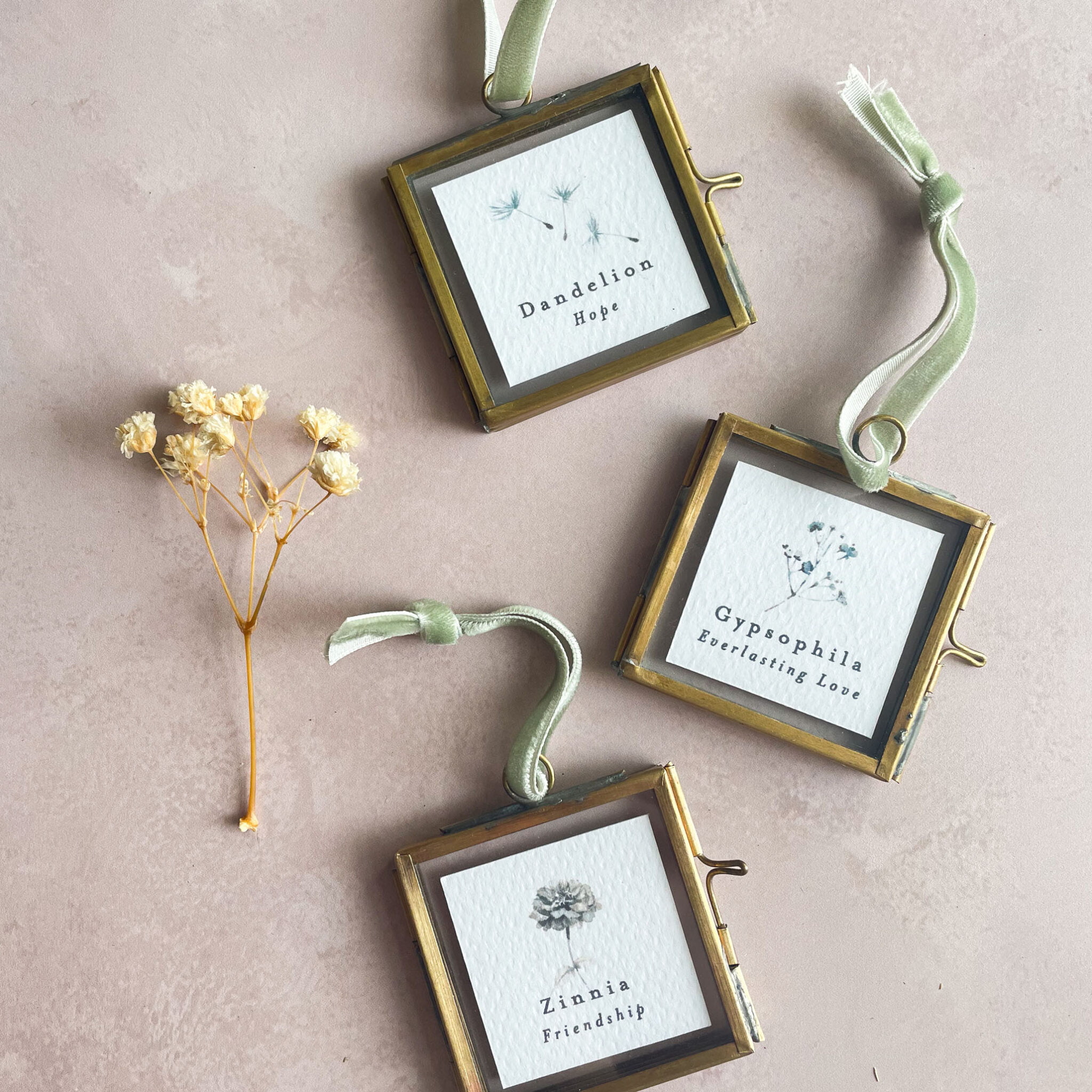 Kester Studio | Stallholder - Pedddle